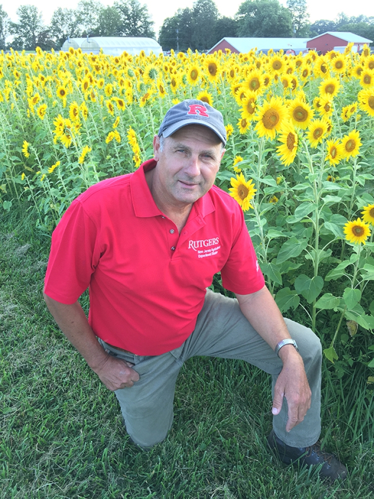 Dr. Joseph R. Heckman | Department of Plant Biology