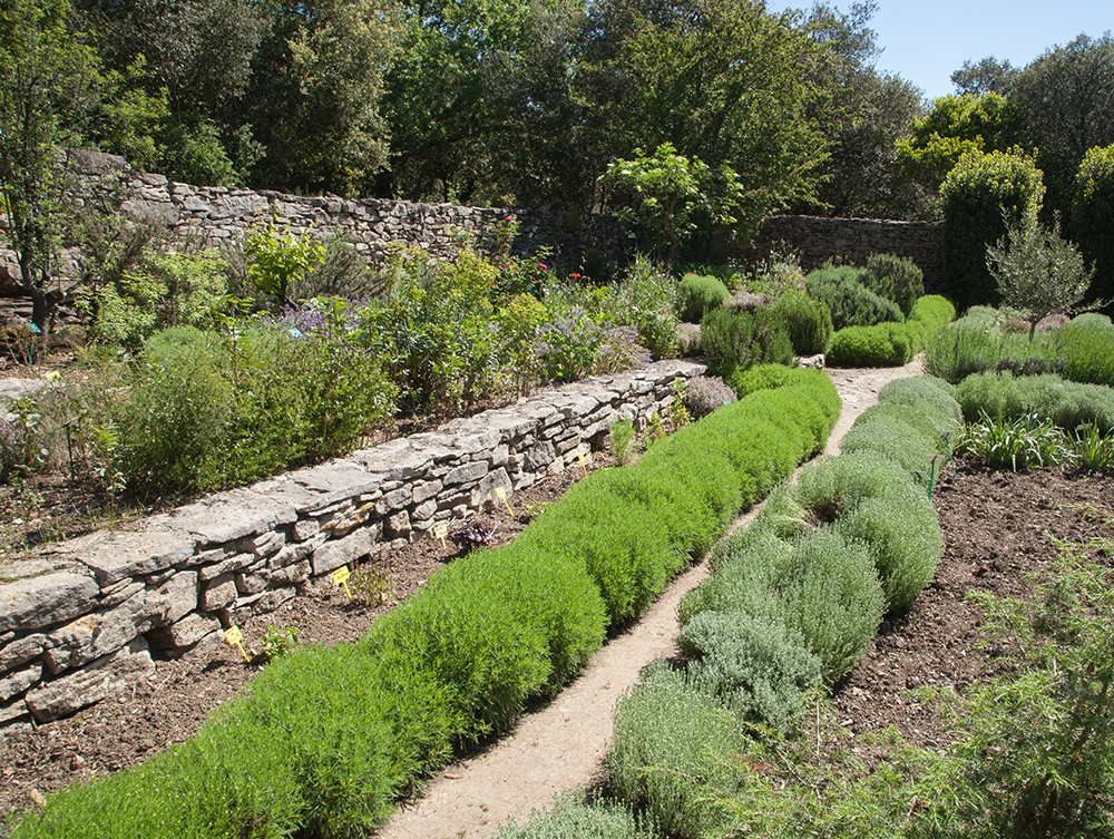 Plant Science Major - Study Abroad | Department of Plant Biology