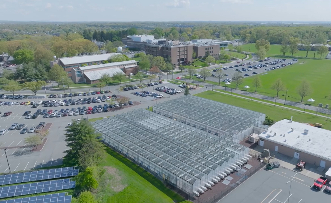 About the Department | Department of Plant Biology